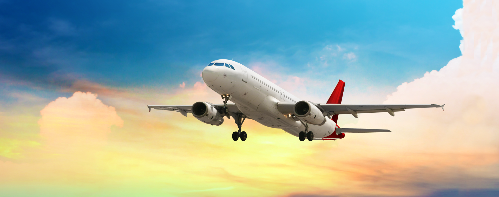 Abacus EXpress Logistics